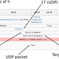 UDP PING UDP Packet Structure Download Scientific Diagram