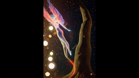 Podiatry Classifications