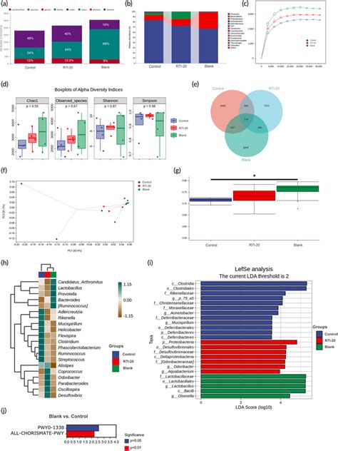Gut Microbiota Analysis By 16s Rrna Sequencing A Statistics On The Download Scientific