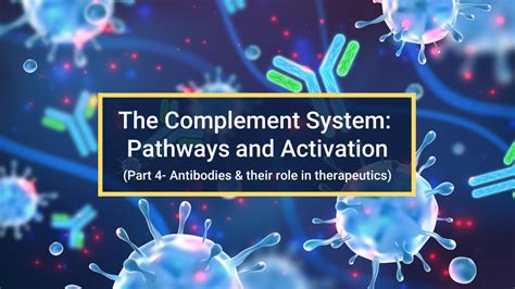 The Complement System Pathways And Activation Part 4 Antibodies And