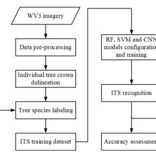 PDF A New Individual Tree Species Recognition Method Based On A Convolutional Neural Network