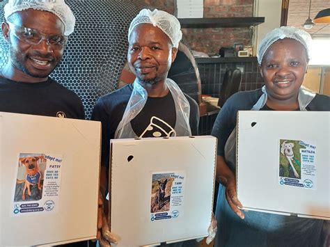 Massimos Pizza Adoption Boxes Win Over Hearts And Tummies