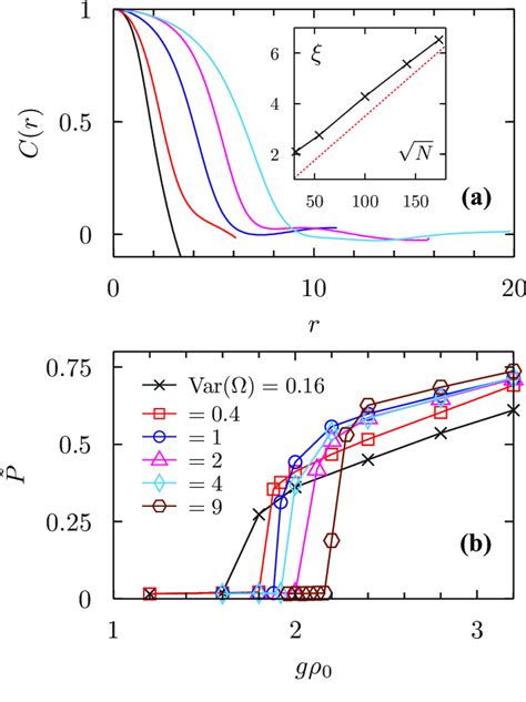 Chiral Phase A Spatial Correlations For Gρ 0 28 Var 2 And
