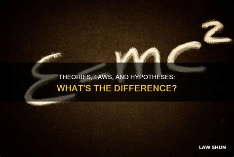 Theories Laws And Hypotheses Whats The Difference Lawshun