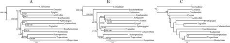 comparison of best ml trees across analyses the best ml trees from a