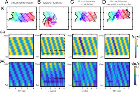 Robot Behavioral Strategies I Snapshots Of Robot Positions