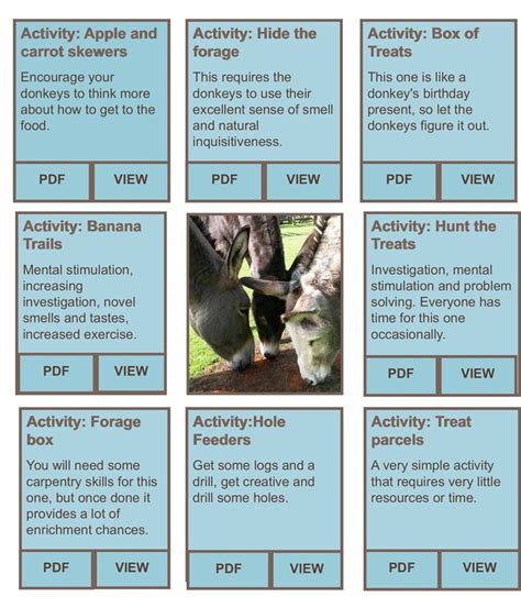 Environmenal Enrichment March 2017 Donkey Care Enrichment Projects
