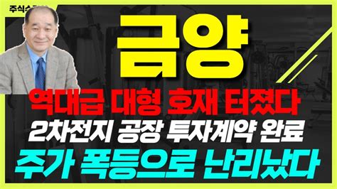 금양주가 긴급 단독속보 역대급 대형 호재 터졌다 2차전지 공장 투자계약 완료 주가 폭등으로 난리났습니다 목표가 200 더 올라야합니다 Youtube