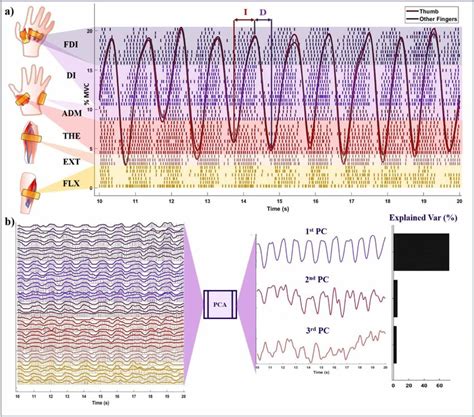 Experimental Setup And Protocol A The Layout Of The Electrode Grids
