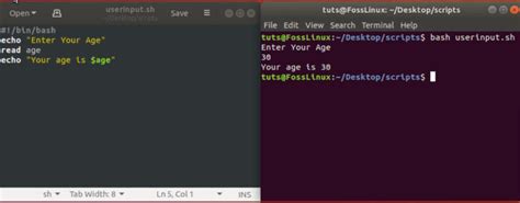 25 Bash Script Examples Foss Linux