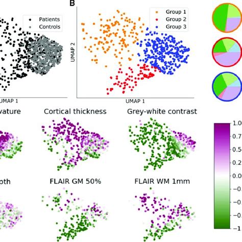 Non Linear 2d Umap Embedding Of Lesional T 1 Features A Manual