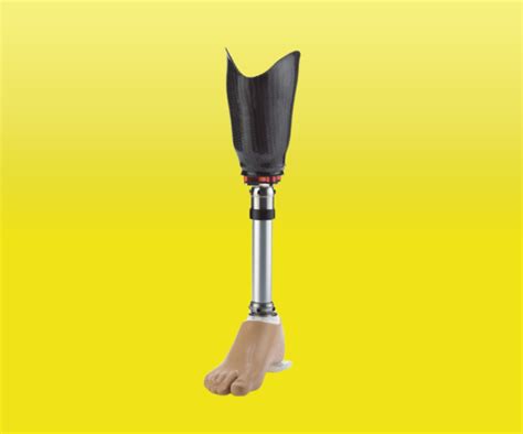 Transtibial Prosthesis Pelayanan Ortotik And Prostetik Transtibial Prosthesis Pelayanan Ortotik And Prostetik