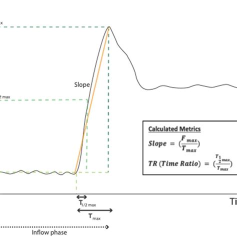 Time Intensity Curve As Computed By The Image Analysis Software Marked Download Scientific
