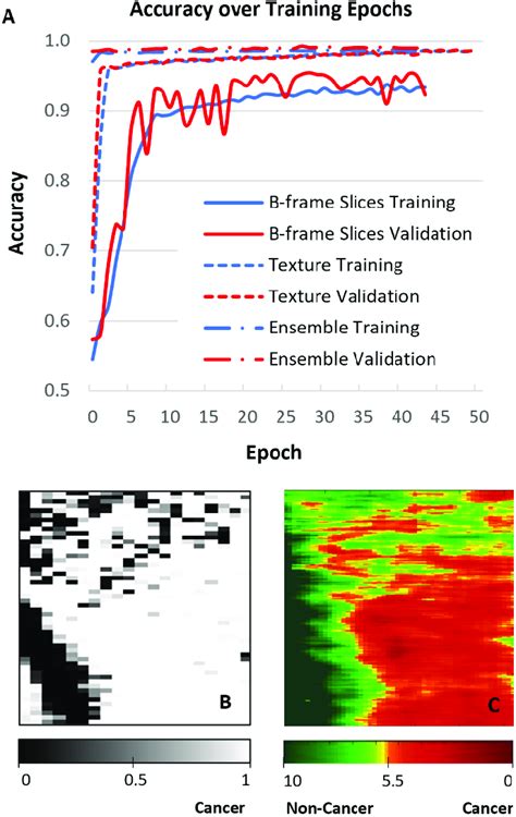 Network Training Curves And Segmentation Output A Accuracy Metric