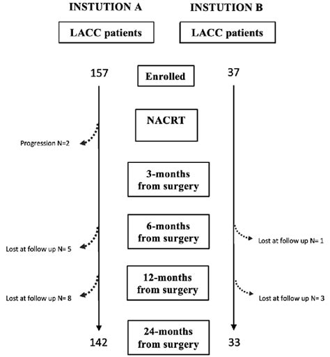 Flowchart Of Our Population Download Scientific Diagram