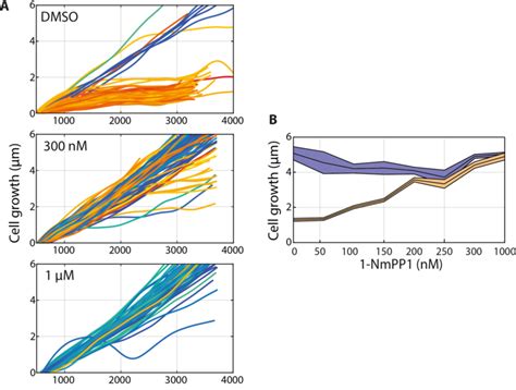 Fig S1 Cdk Inhibition Leads To A Longer Time Before Cell Growth Download Scientific Diagram