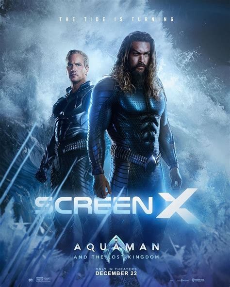 Aquaman And The Lost Kingdom 3 Posters And 1 International Poster