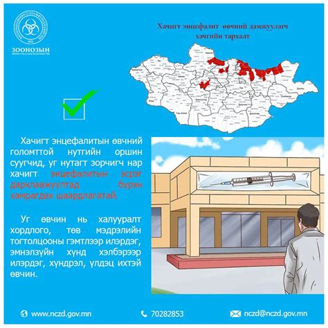 Хачгаар дамжих халдвараас хэрхэн СЭРГИЙЛЭХ вэ