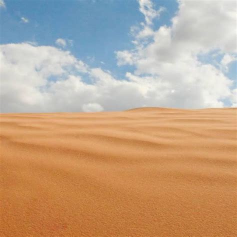 Cameron Wilken Youtube