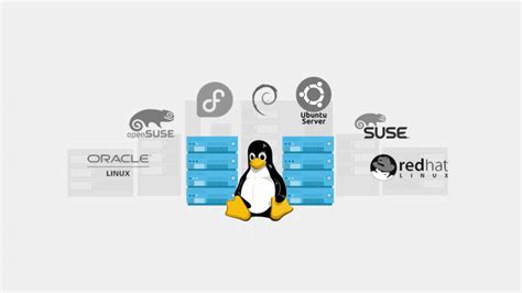 12 Distribuições Recomendadas Para Servidores Linux Sempreupdate