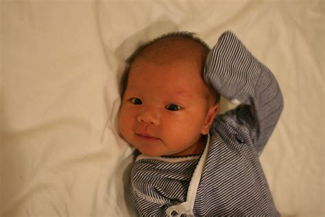 Img 7030 Page1218 Flickr
