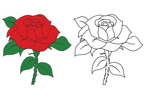 Printable Rose Flower Coloring Pages 2025