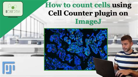 how to count cells using the cell counter plugin on imagej cell count