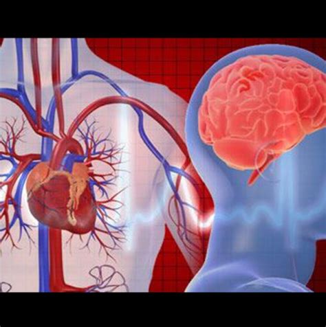 Кардиолози са убедени Редовния прием на този лек срещу инфаркт и инсулт предотвратява 12 000