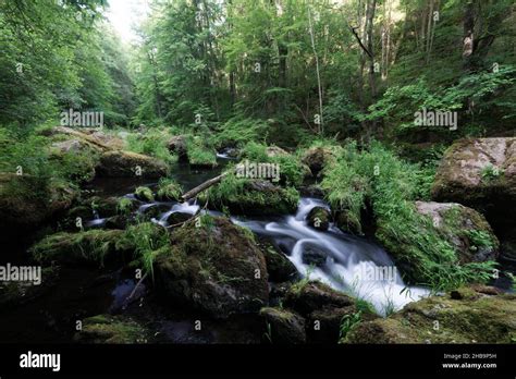 Fast Flowing Forest Waterfall Flowing Through Rocks And Stones