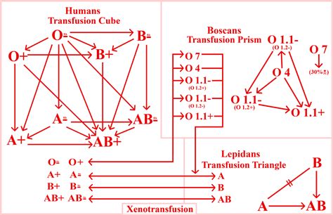 Transfusion Chart By LucasHC90 On DeviantArt