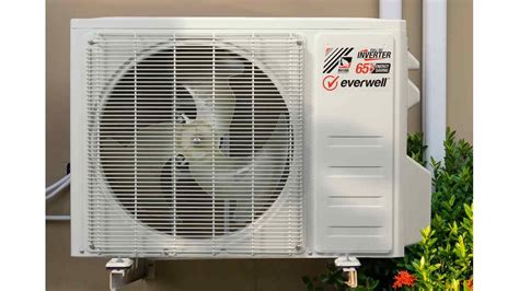 Top Reasons To Choose Everwell Air Conditioners Comfort Technical Solutions Air Conditioners