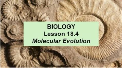 Biology 184 Molecular Evolution Ms Word Guided Notes And Powerpoint