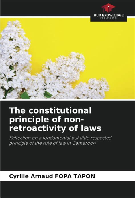 The Constitutional Principle Of Non Retroactivity Of Laws Reflection On A Fundamental But