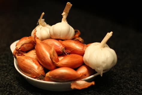 Imágenes De Schalotten Descubre Bancos De Fotos Ilustraciones