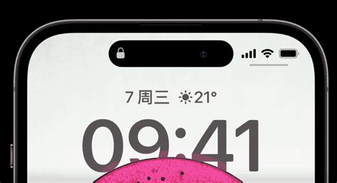 带你走进灵动岛 京东云技术团队 Oschina 中文开源技术交流社区