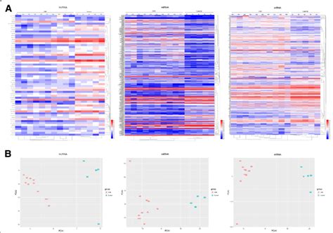 Heatmap And Pca Analysis Of De Lncrna Mirna And Mrna The Heatmap And Download Scientific