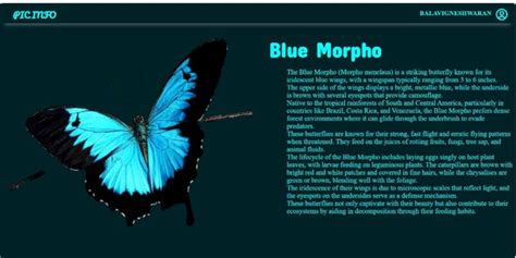 Balavigneshwaran P On Linkedin Justrisetechnologiespvtltd Justriseacademy Justrise