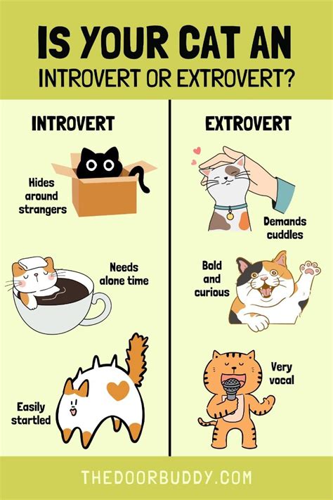Introvert Activities Artofit