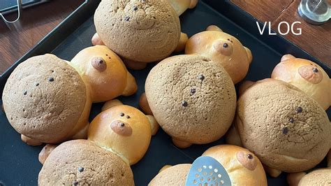 Vlog 방학 ㅇㅏㅁㅏ 잘보내는 브이로그 문래 워터밤 Youtube