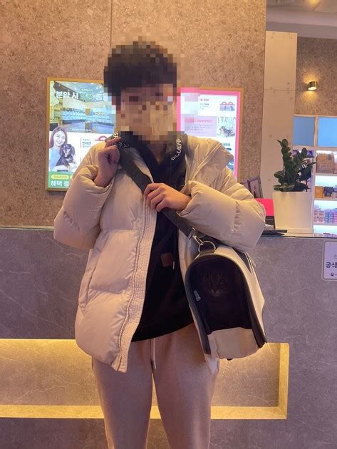 코리안숏헤어 구찌 비숑프리제분양가 유기견 미니비숑 웰시코기분양 스피츠 요크셔테리어분양 먼치킨고양이 노르웨이숲고양이분양 빅토리아펫보호소 입양완료