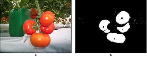 A Original Image And B Color Based Segmentation 2 Obtaining