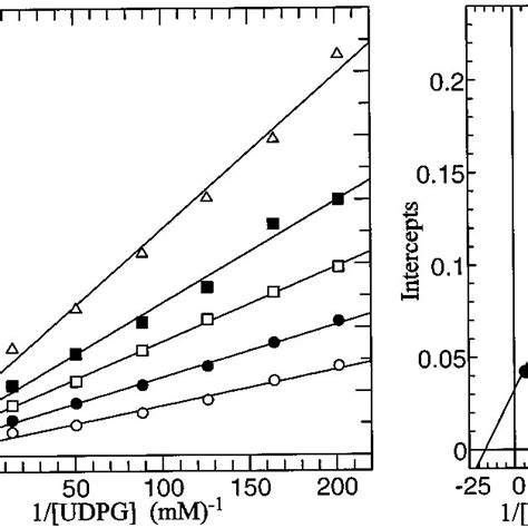 Initial Velocity Pattern With Udp Glucose Udpg As The Variable