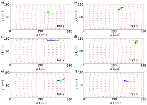 Fluid Structure Interaction Computational Microfluidics And
