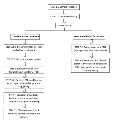 Isolation And Identification Of Waterborne Antibiotic Resistant