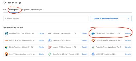 Setting Up A Containerised Microsoft Sql Server On Digitalocean Docker