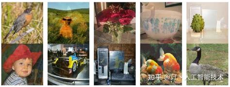 深度学习应用篇 计算机视觉 图像增广[1]：数据增广、图像混叠、图像剪裁类变化类等详解 知乎