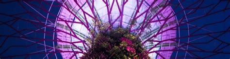 What Differentiates Natural Synthetic Psychedelics Psychedelic Passage
