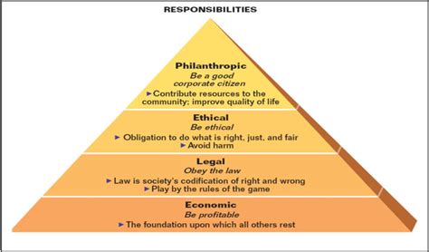 Csr Pyramid Source Carroll 1991 Download Scientific Diagram
