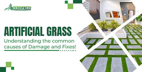 Artificial Grass Understanding Common Causes Of Damage And Fixes