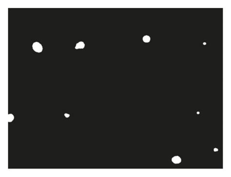 Segmentation Foreground Renderings A Original Image B Standard Download Scientific